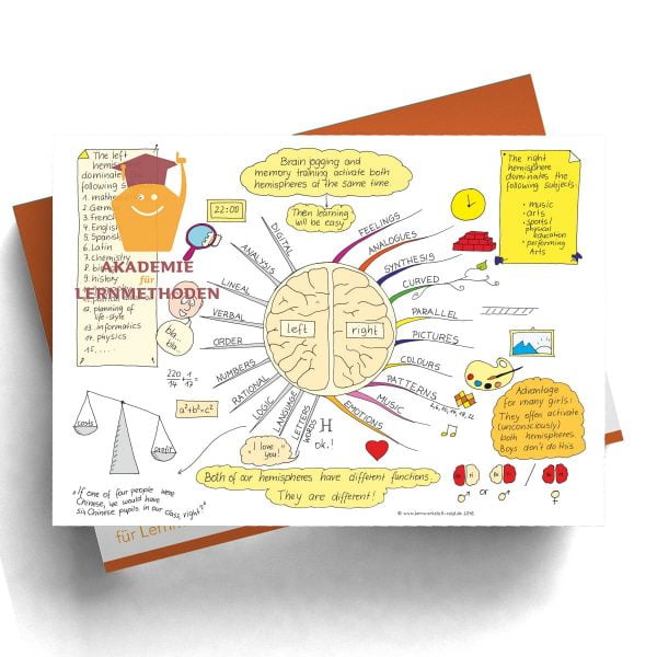 Mindmap Left and right-hemisphere – Akademie für Lernmethoden